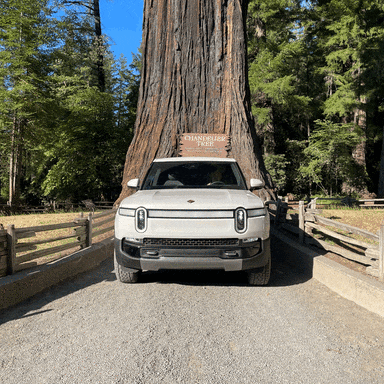 California DMV Registration Renewal | Rivian Forum - R1T R1S R2 R3 News ...