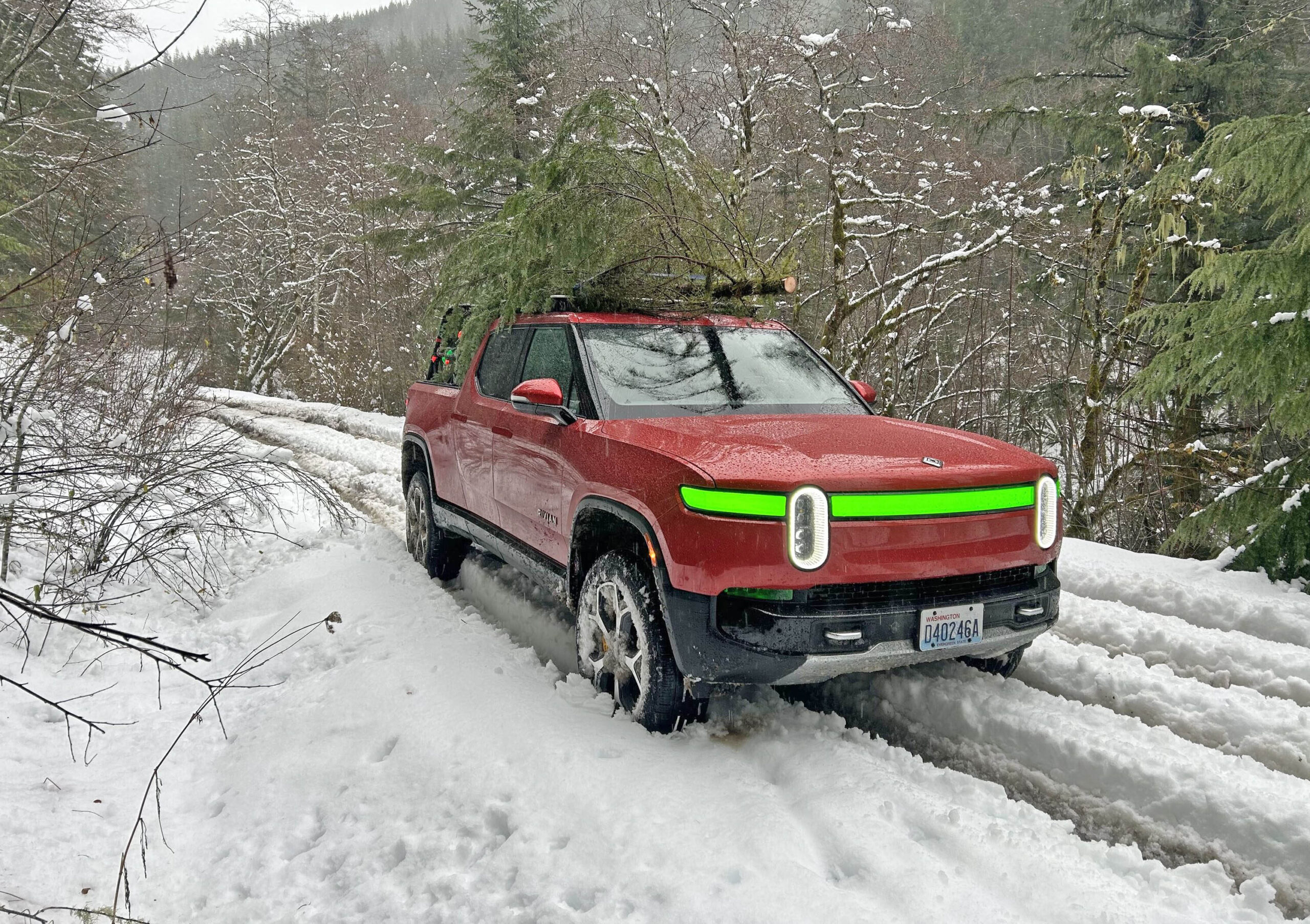 Went up the mountain for a Christmas tree using the R1T ? | Rivian ...