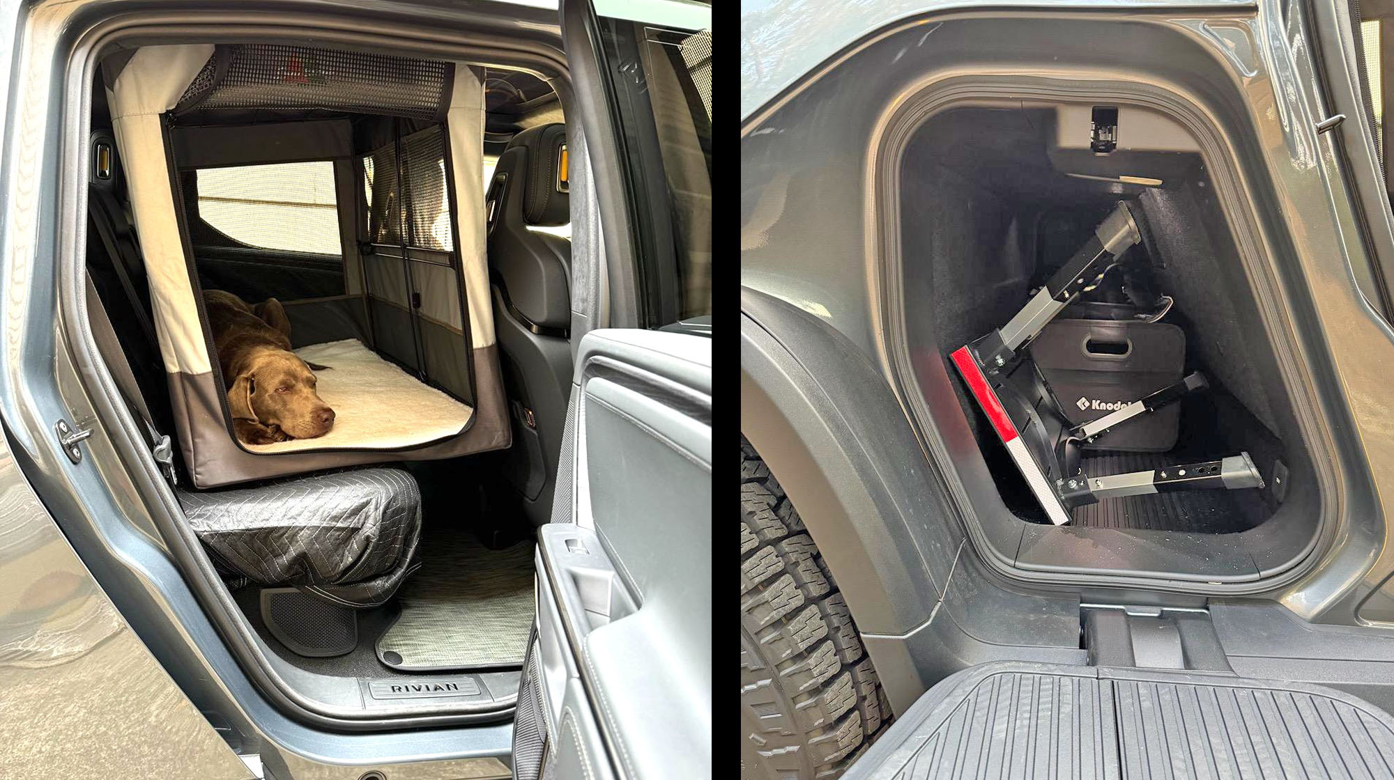 Attention R1T Dog Owners: I May Have Created the Perfect Dog Set-Up for ...