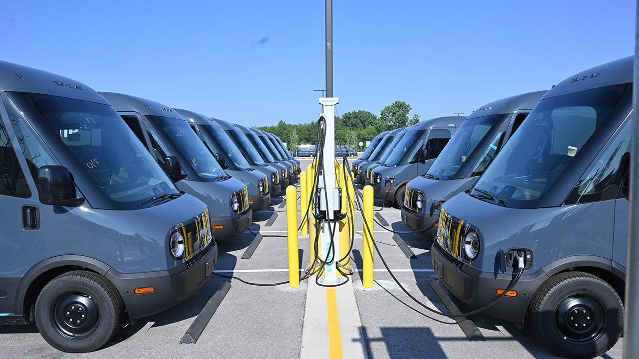 Rivian EDV Electric Delivery Van Outsells Ford E-Transit in 2024 ...